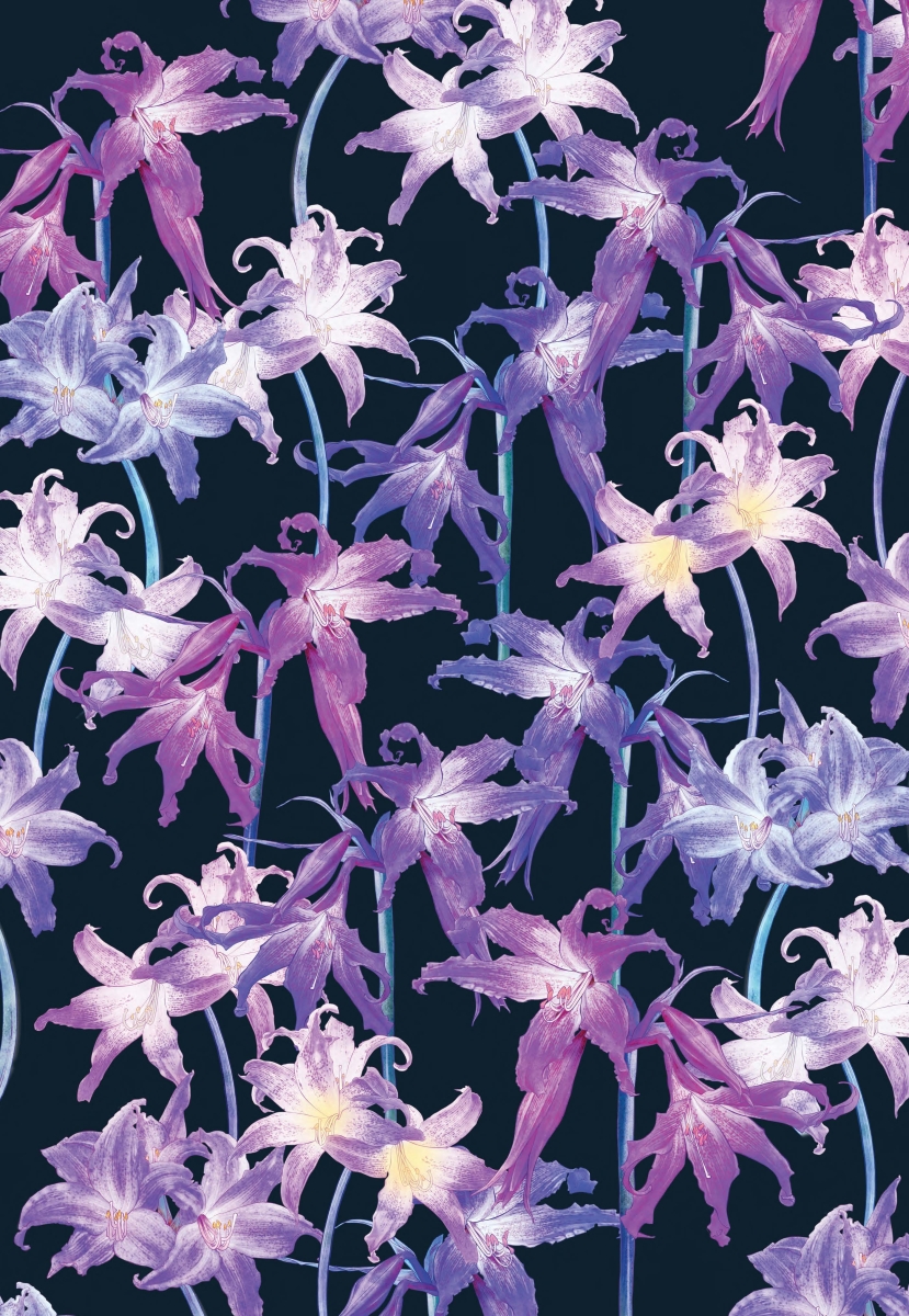 All Wrapped Up: Posy by Adriana Picker | Hardie Grant Gift