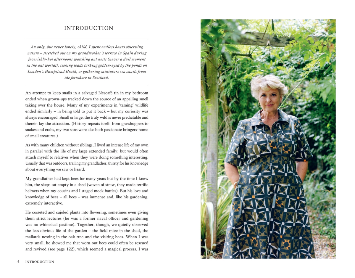 The Wild Bee Handbook | Hardie Grant Gift
